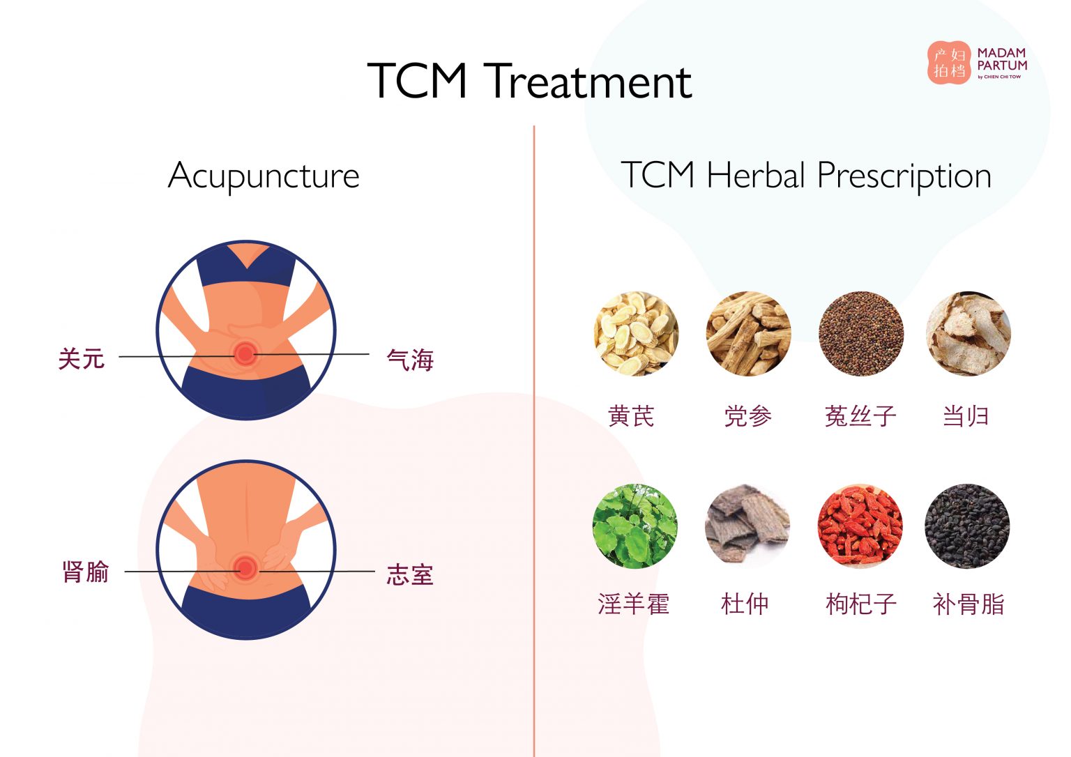 TCM Preconception Care - Madam Partum