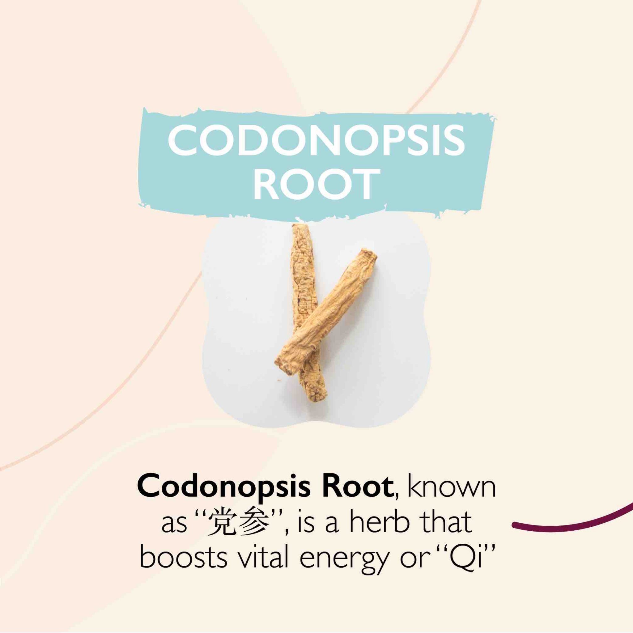 5 Chinese Herbs To Boost Your Pregnancy Health - Madam Partum